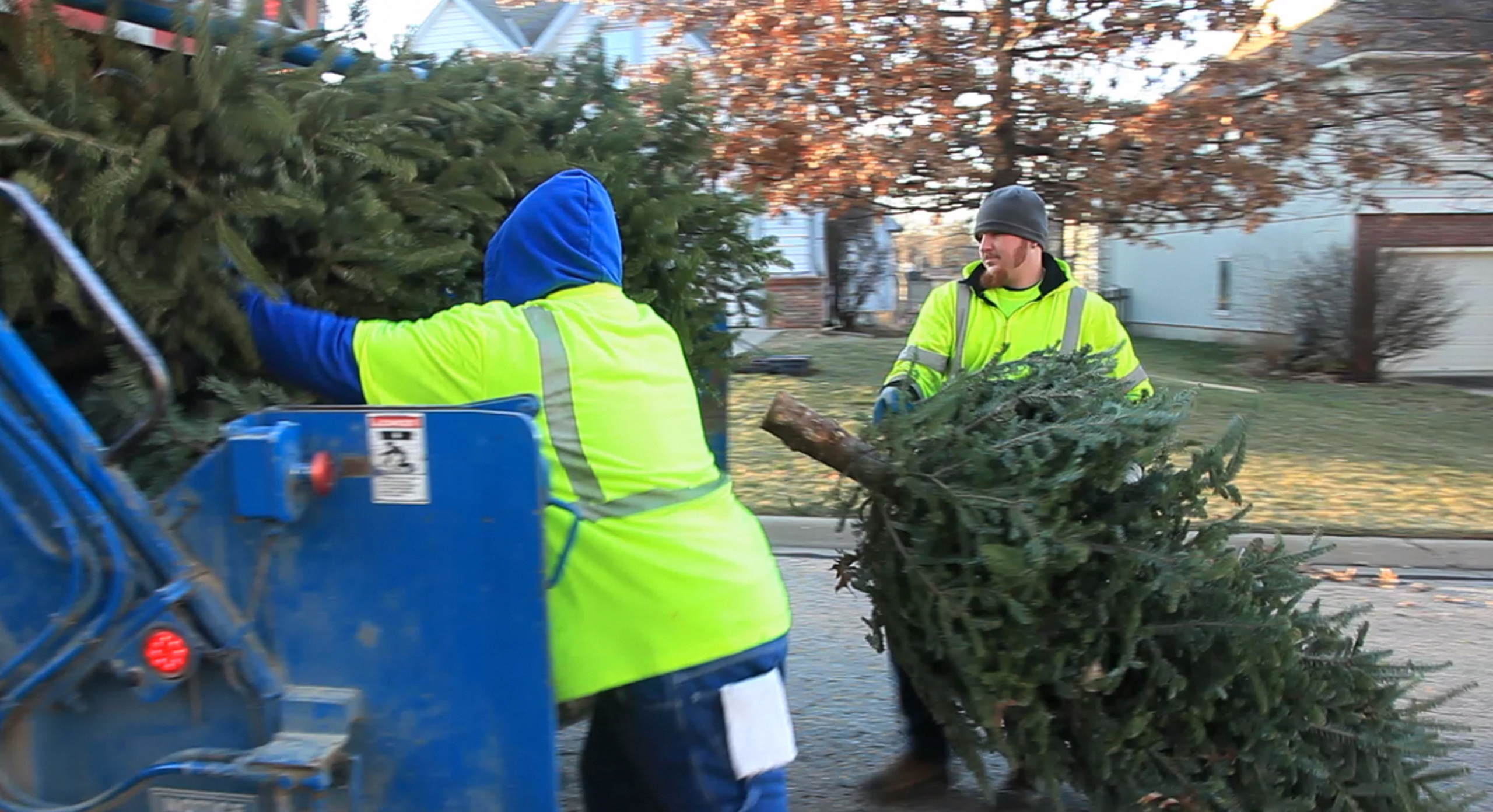 City to begin curbside collection of Christmas trees starting Jan. 2 ...
